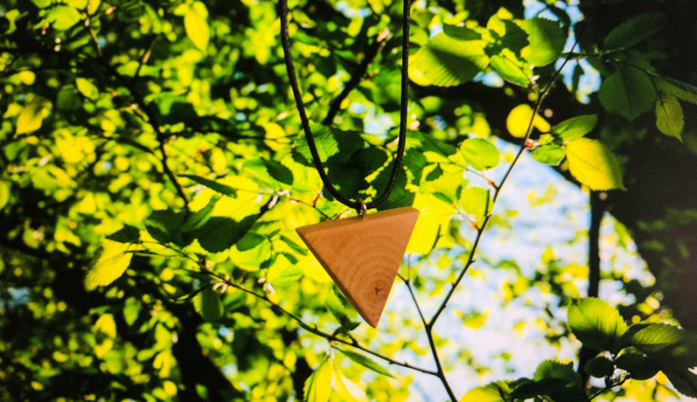 Das Trigon | SchwarzwaldKraft